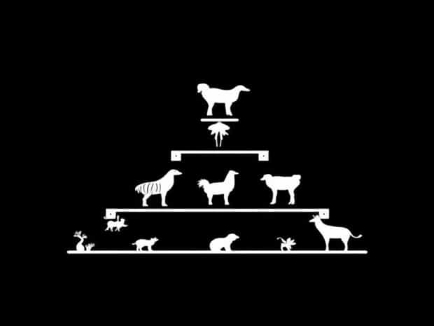 Chester Zoo Hierarchical Structure
