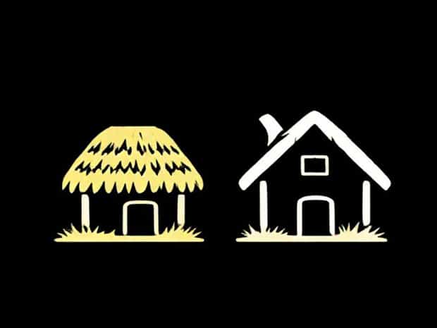 Difference Between Thatching And Dethatching