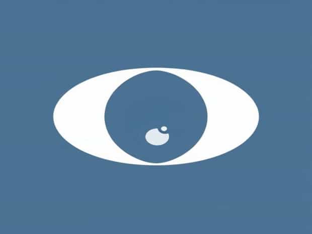 Blue Gray Ovoid Nests