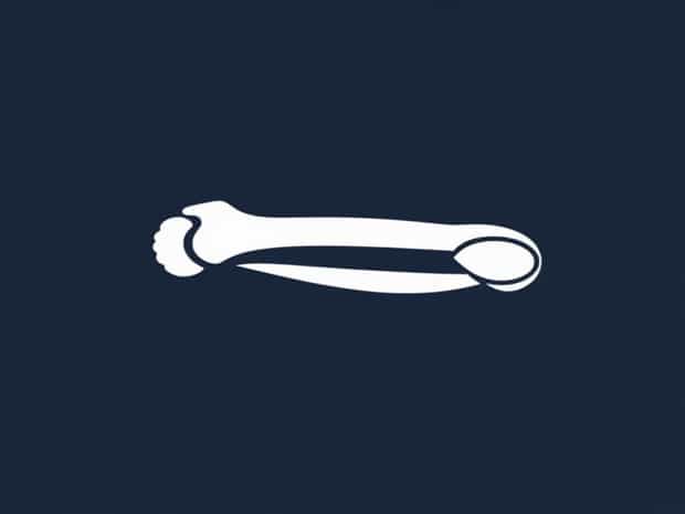 Muscle Attachment Of Ulna