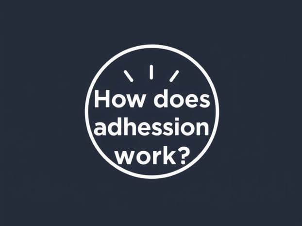 How Does Adhesion Work?