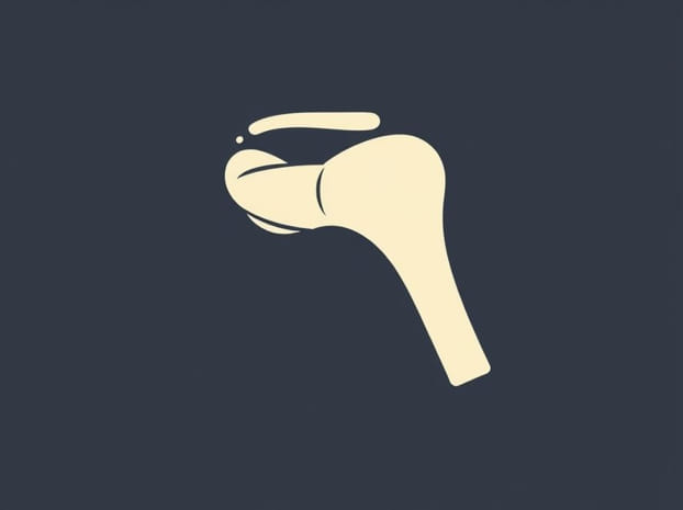Greater Tuberosity Of Humerus Fracture
